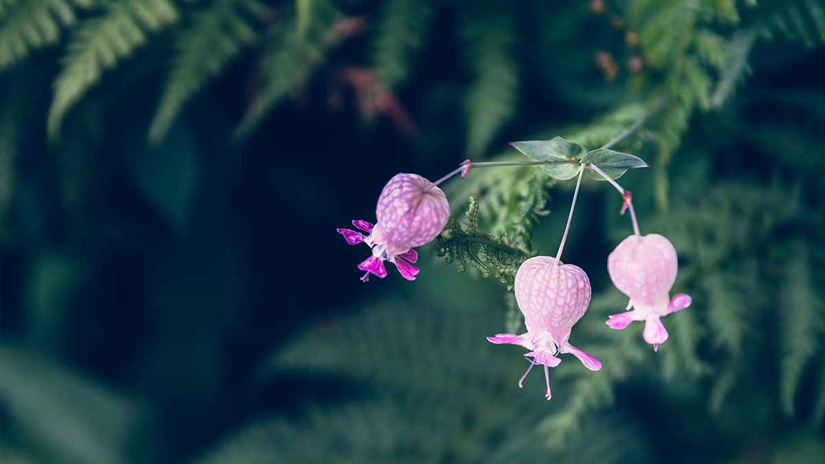 Présentation du Laboratoire - Laboratoire Science & Nature